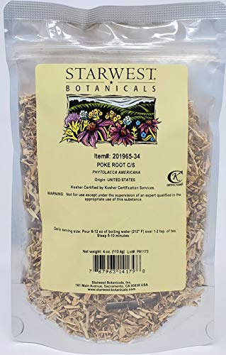 Poke root herbal remedy benefits