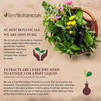 Poke Root Powder for immune support