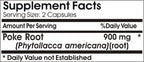 Poke root supplement for immune support