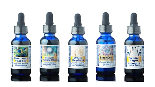 Polygala and Bacopa cognitive boost