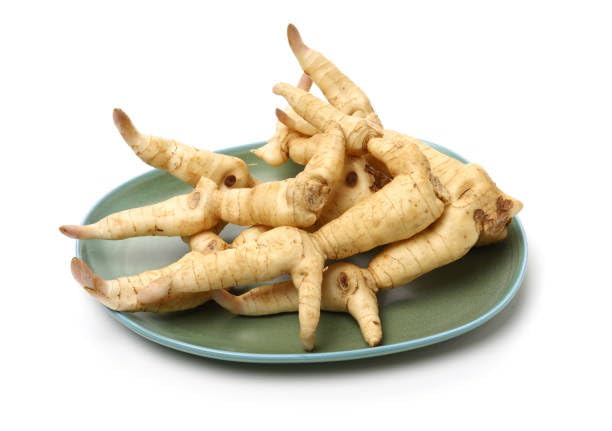 Polygonatum biflorum herbal blend uses
