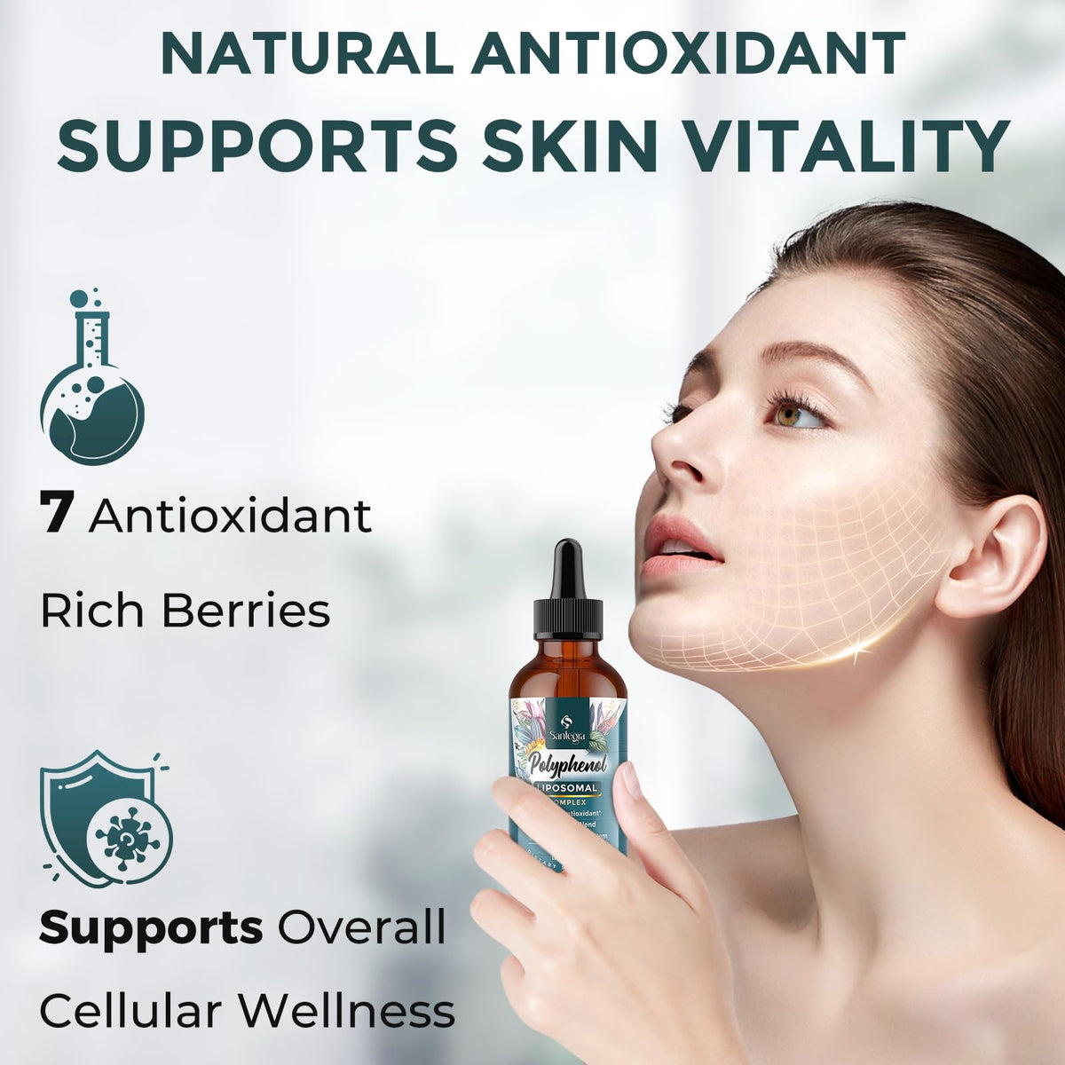 Polyphenols for enhanced nutrient absorption
