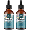 Polyphenols liposomal supplement benefits