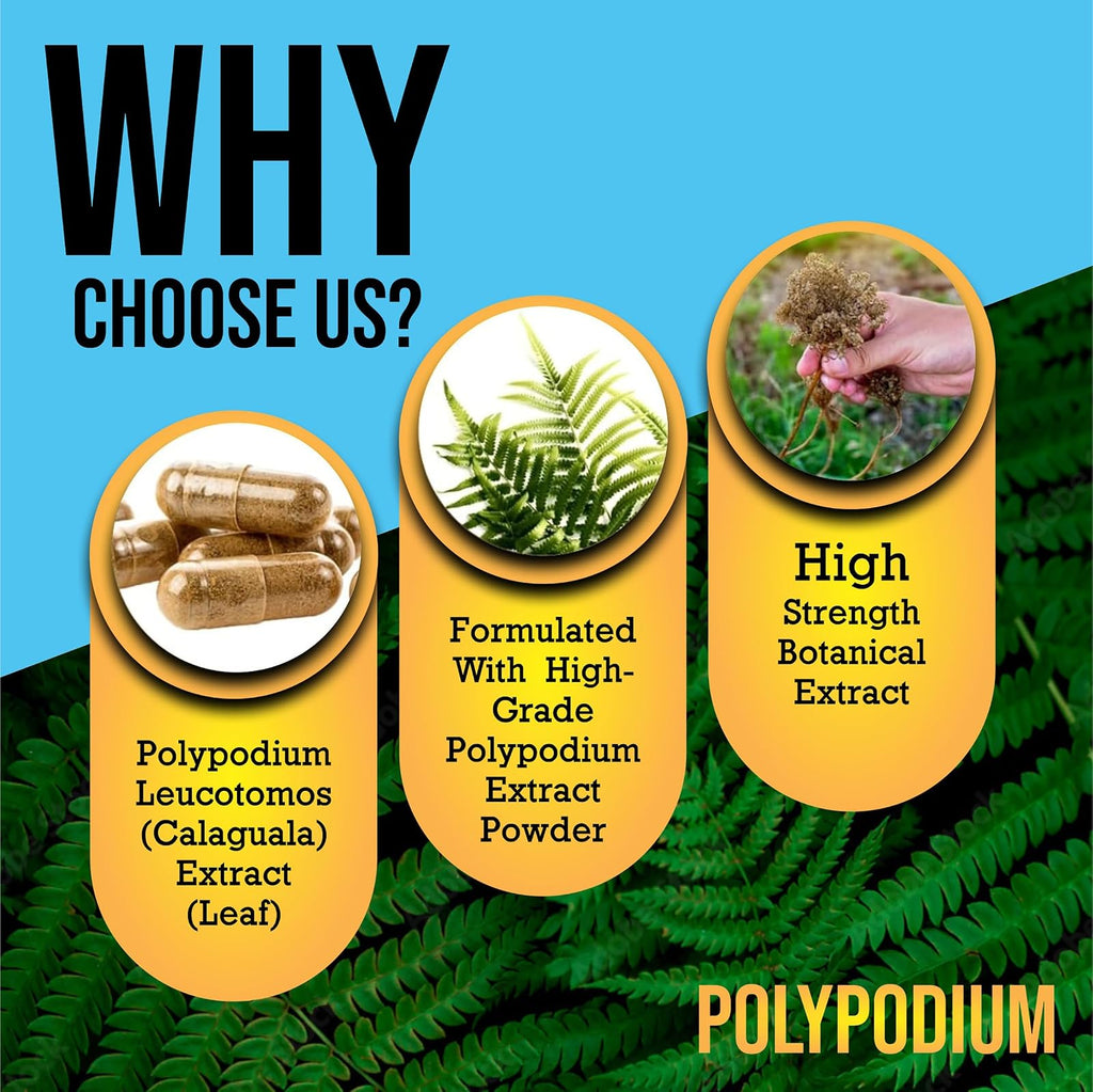Polypodium Leucotomos antioxidant properties