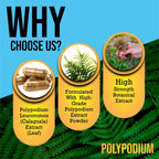 Polypodium Leucotomos antioxidant properties