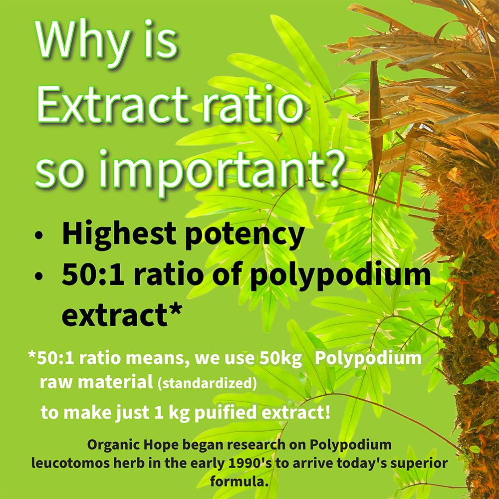 Polypodium Leucotomos for immune support