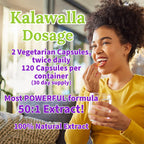 Polypodium Leucotomos for kids health