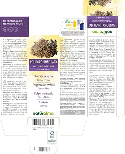 Polyporus umbellatus health properties