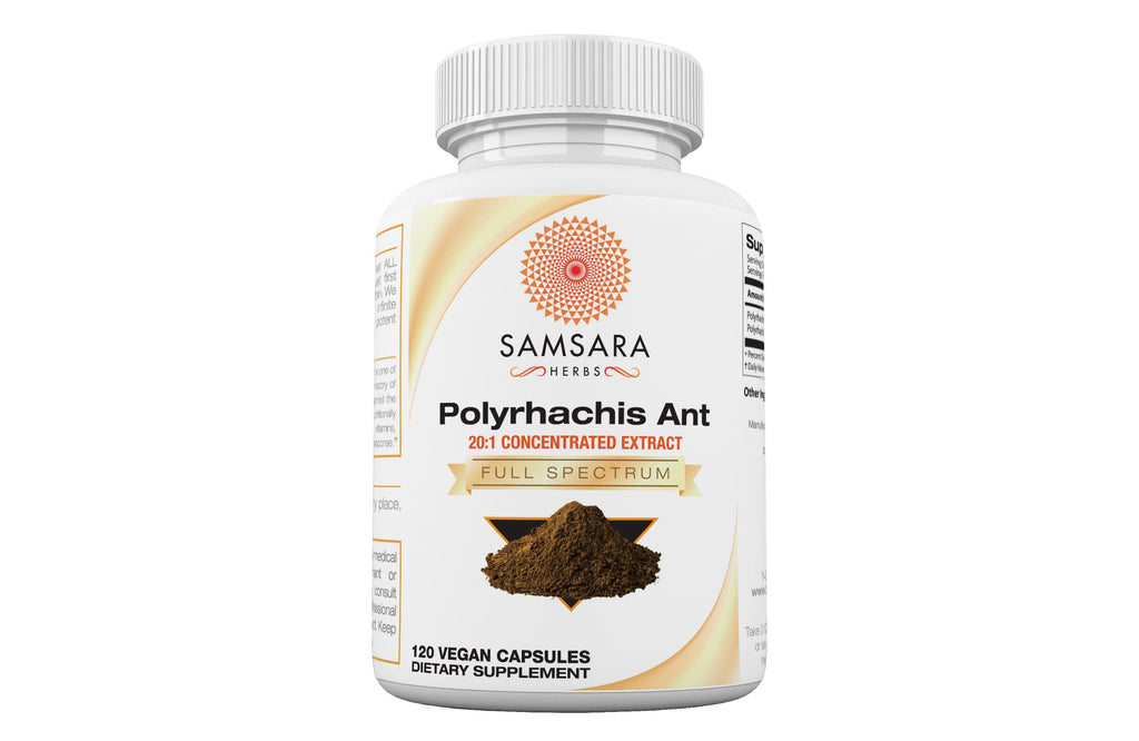Polyrhachis black ant extract capsules