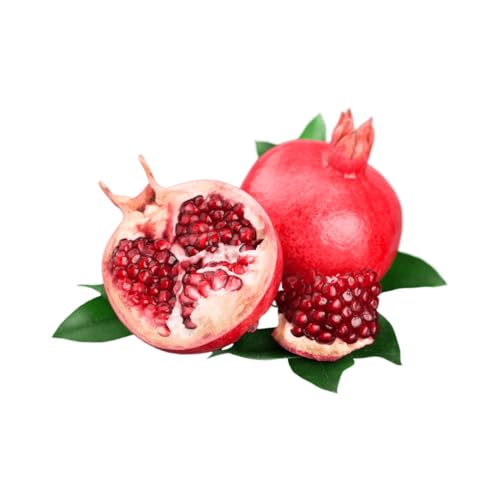 pomegranate extract for daily wellness
