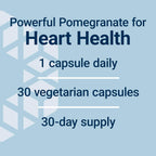 Pomegranate extract for immune support
