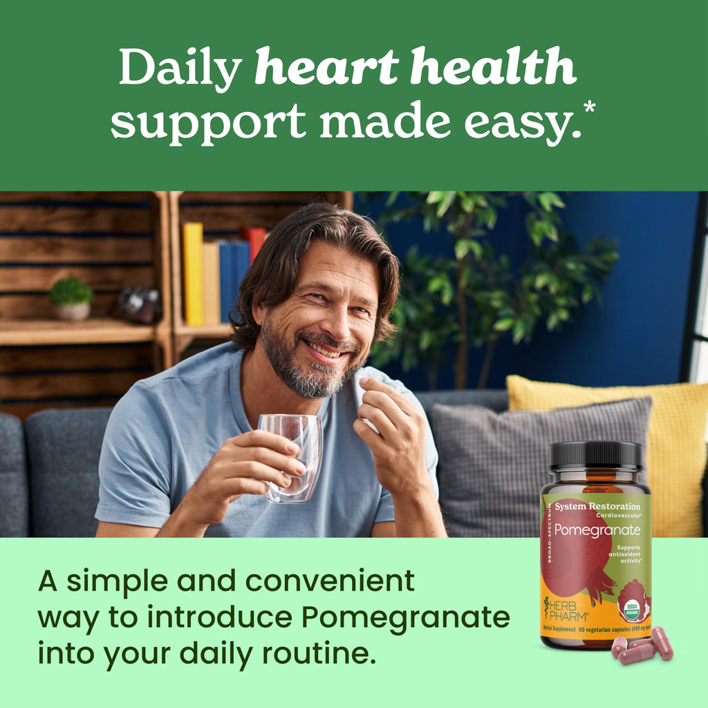 pomegranate supplement for healthy circulation