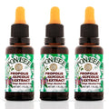 PONLEE Brazil Green Bee Propolis Extract benefits