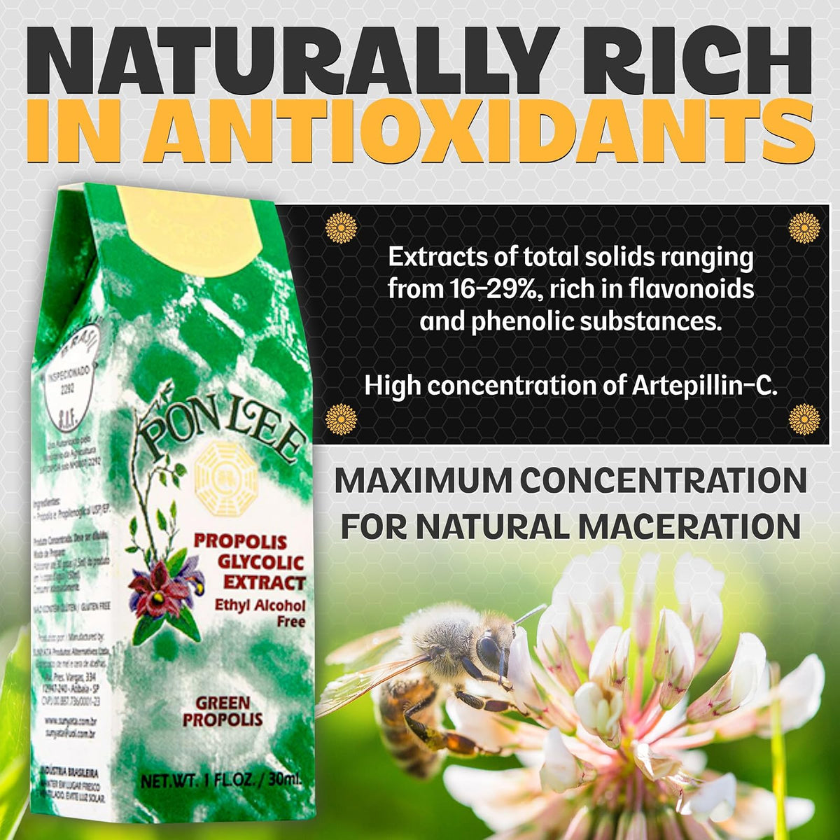 PONLEE multivitamin for women benefits