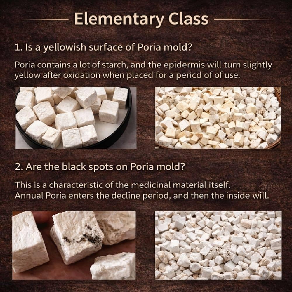 Poria Cocos for digestive health