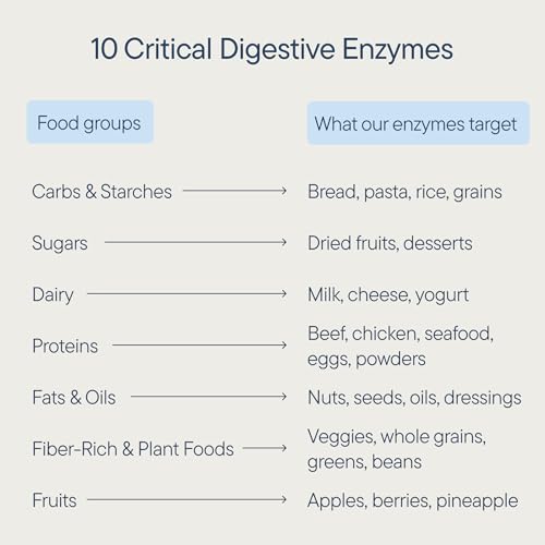 portable digestive enzymes for travel