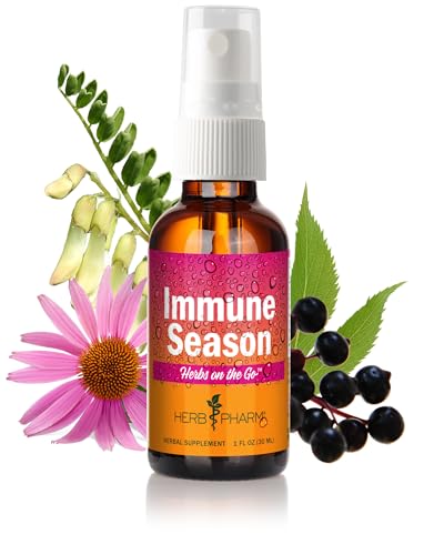 Portable elderberry wellness solution
