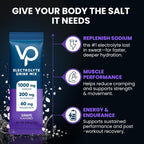 Portable electrolyte powder for travel