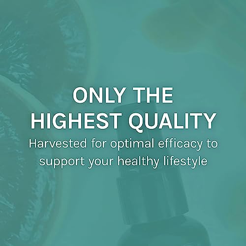 portable mushroom health support