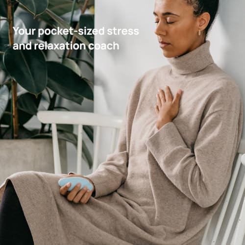 portable sleep support device