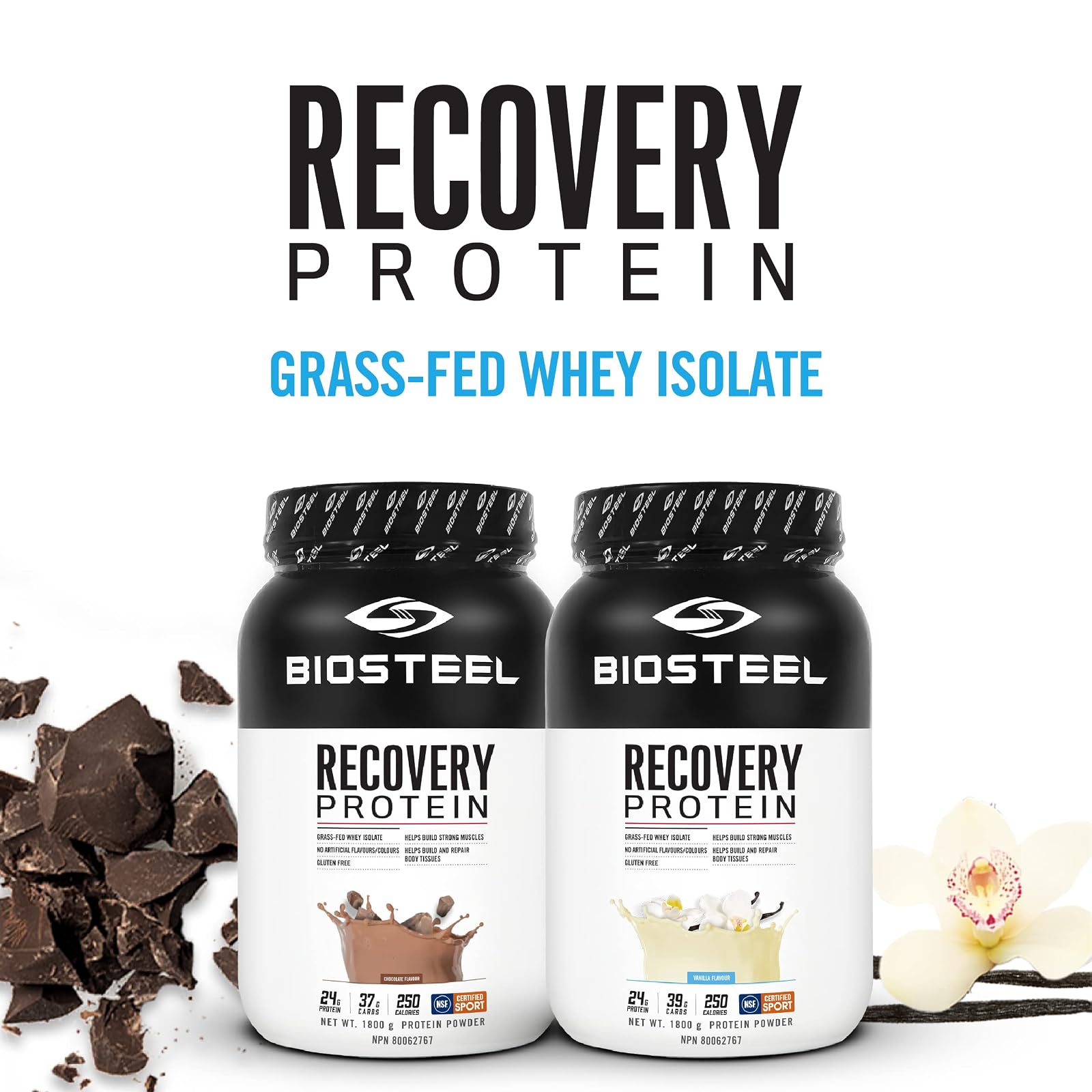 Post-workout recovery protein powder
