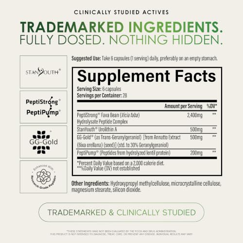 Post-workout supplement with Urolithin A
