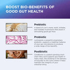 postbiotic complex for daily wellness