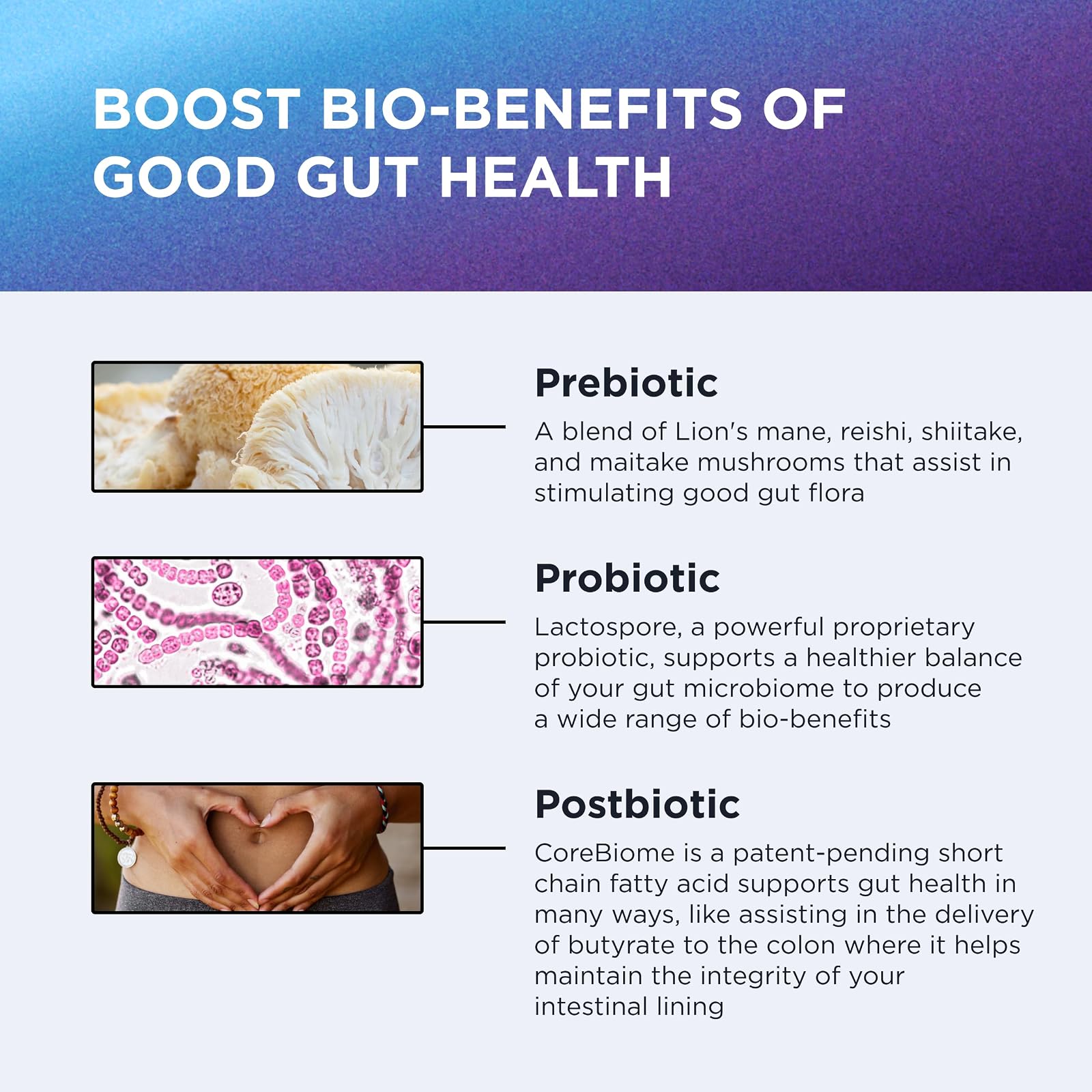 postbiotic complex for daily wellness