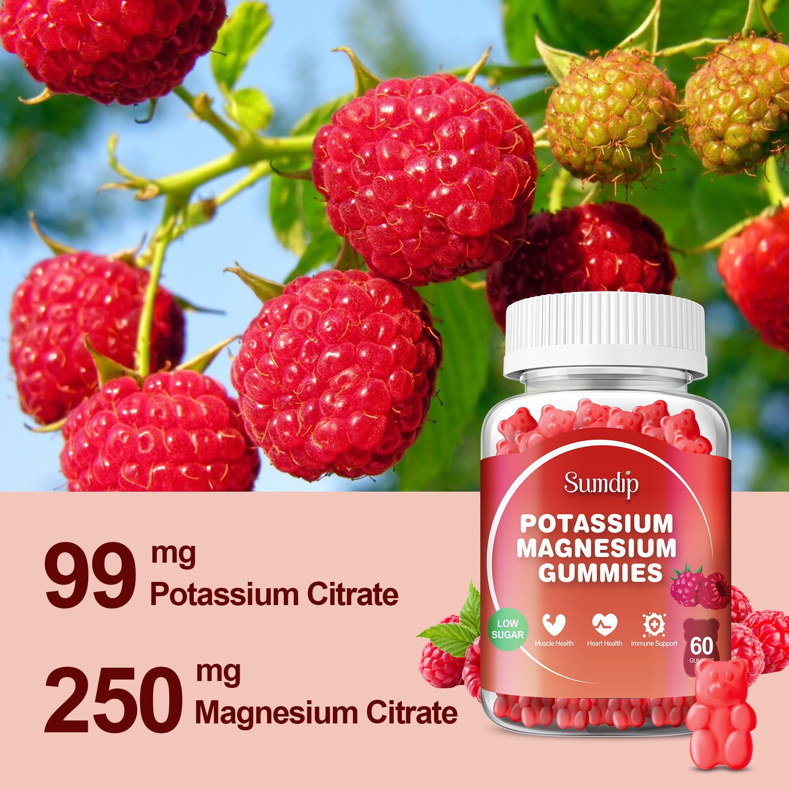 potassium and magnesium for optimal health