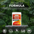 potassium chloride powder for heart health