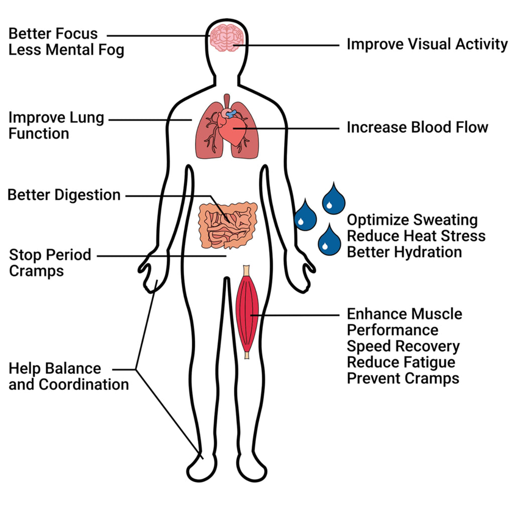 potassium powder for cellular hydration