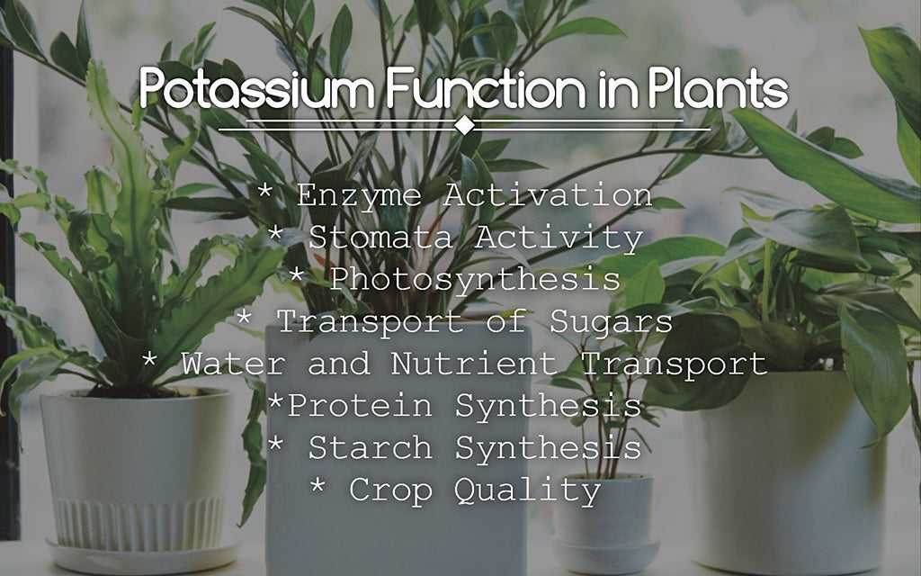 Potassium sulfate for healthy plants
