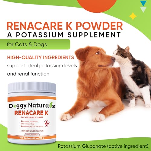 potassium supplement for balanced diet