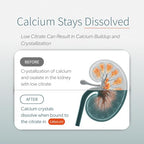 potassium supplement for hydration