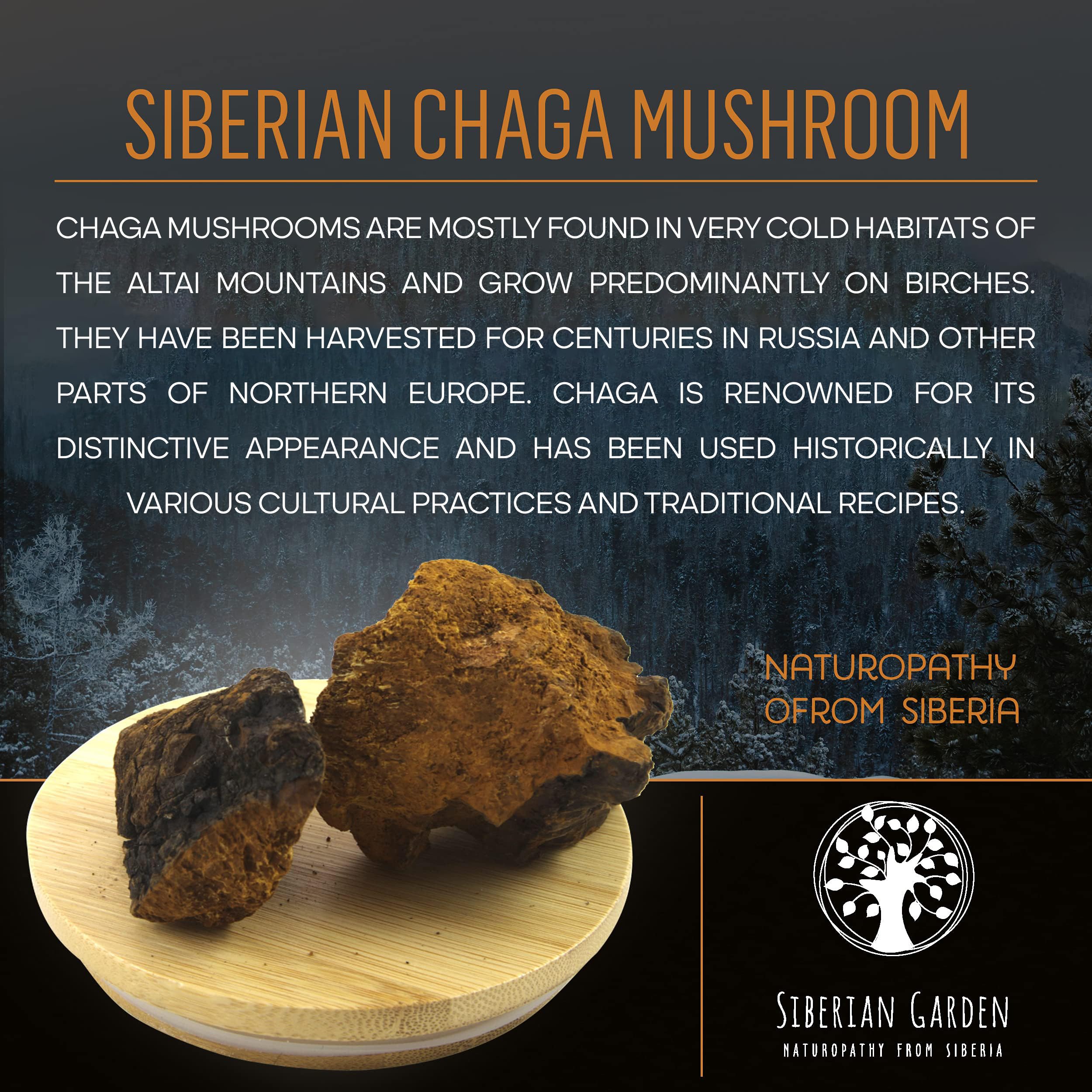 potent adaptogens for mushroom tea