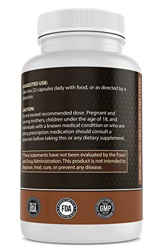Potent antioxidant mushroom capsules