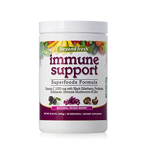 potent antioxidants for immune health