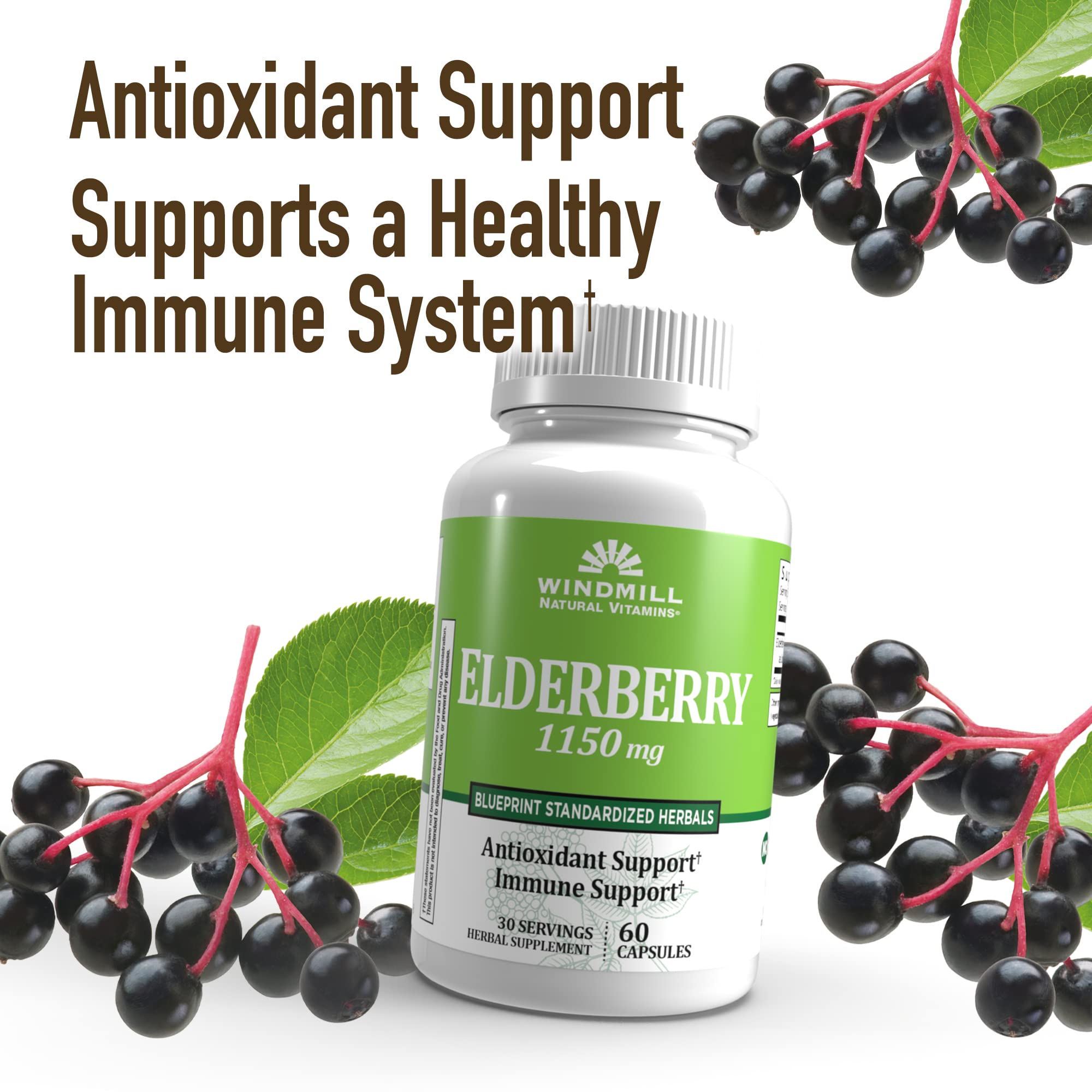 potent antioxidants in elderberry capsules