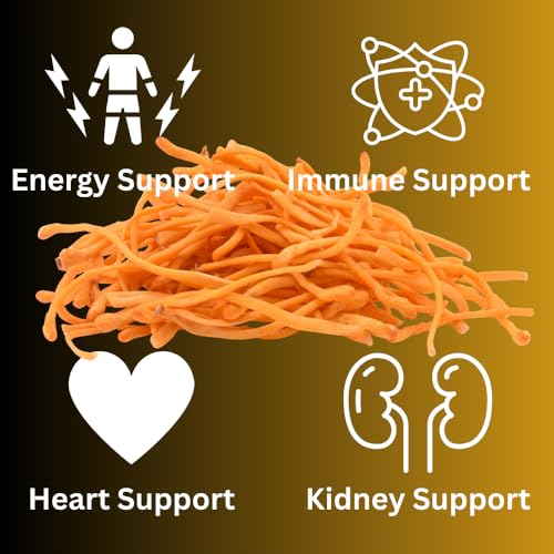 Potent cordyceps for active lifestyle