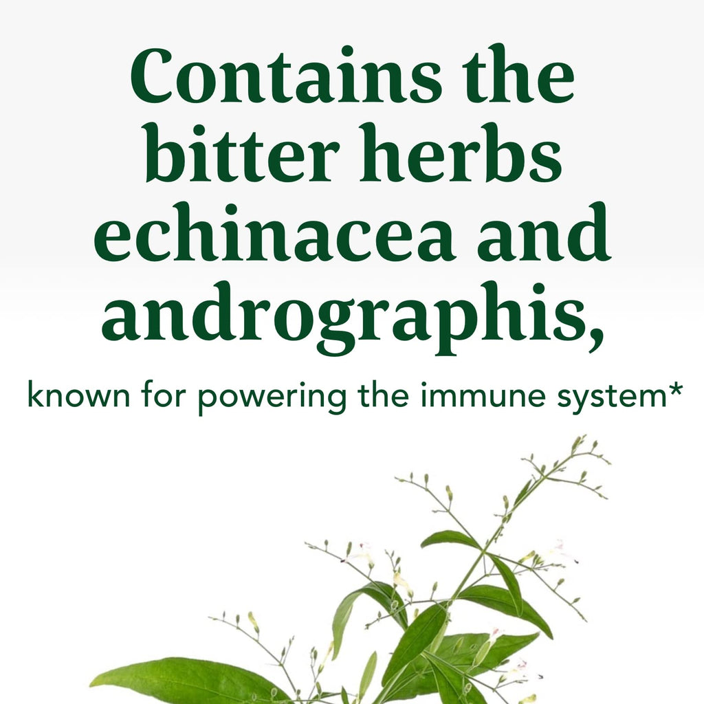 potent elderberry for daily use
