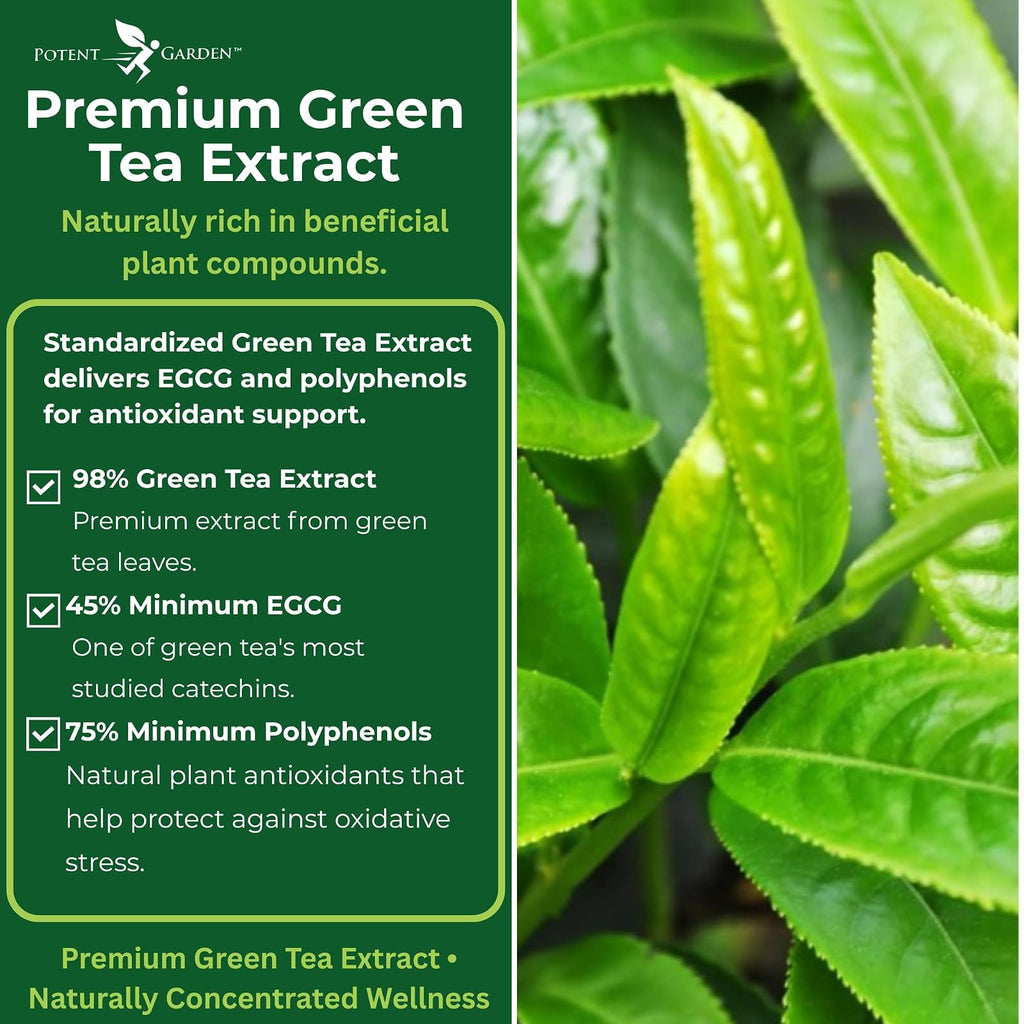 Potent Garden herbal green tea extract