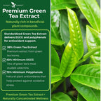 Potent Garden herbal green tea extract