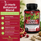 Potent Garden kidney cleanse