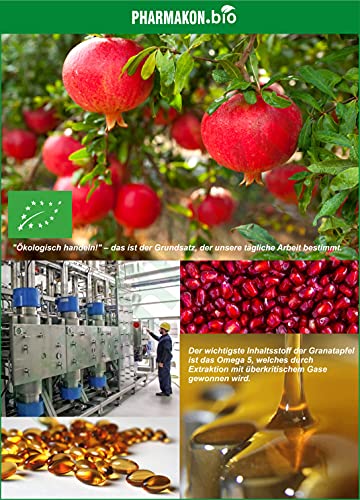potent polyphenols for health