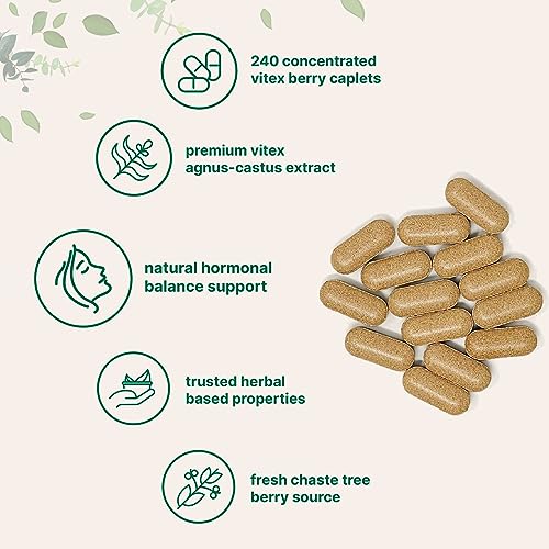 Potent Vitex berry for menstrual relief