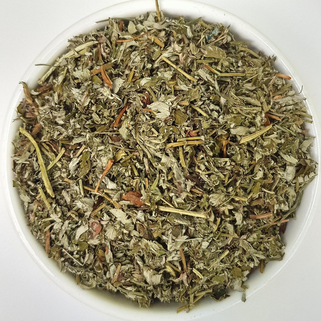 Potentilla Anserina L soothing infusion