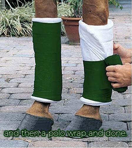 poultice for horse muscle recovery
