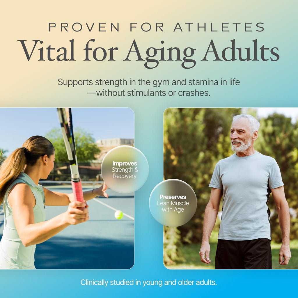 Powders HMB vitamin benefits
