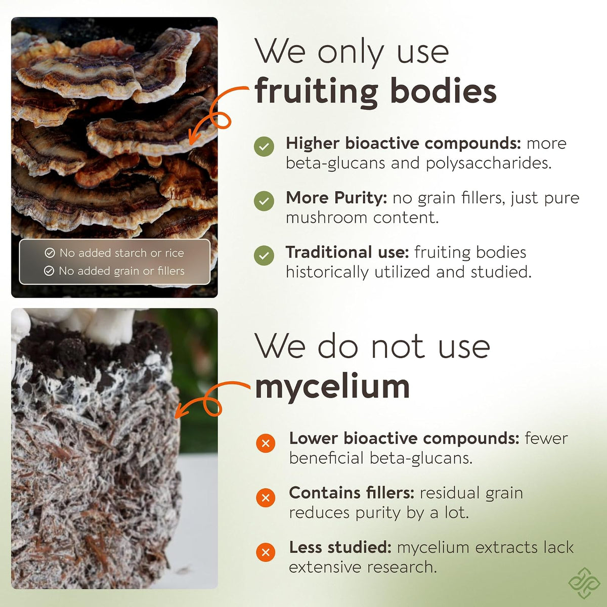 Power 15 adaptogenic mushroom powder