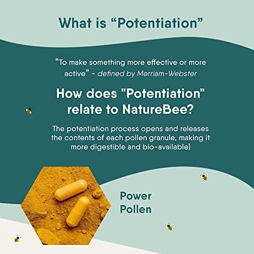 Power Pollen immune system support